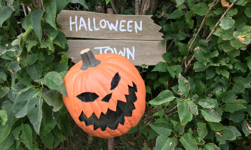 Halloween Town Sign - Mad Like Alyce